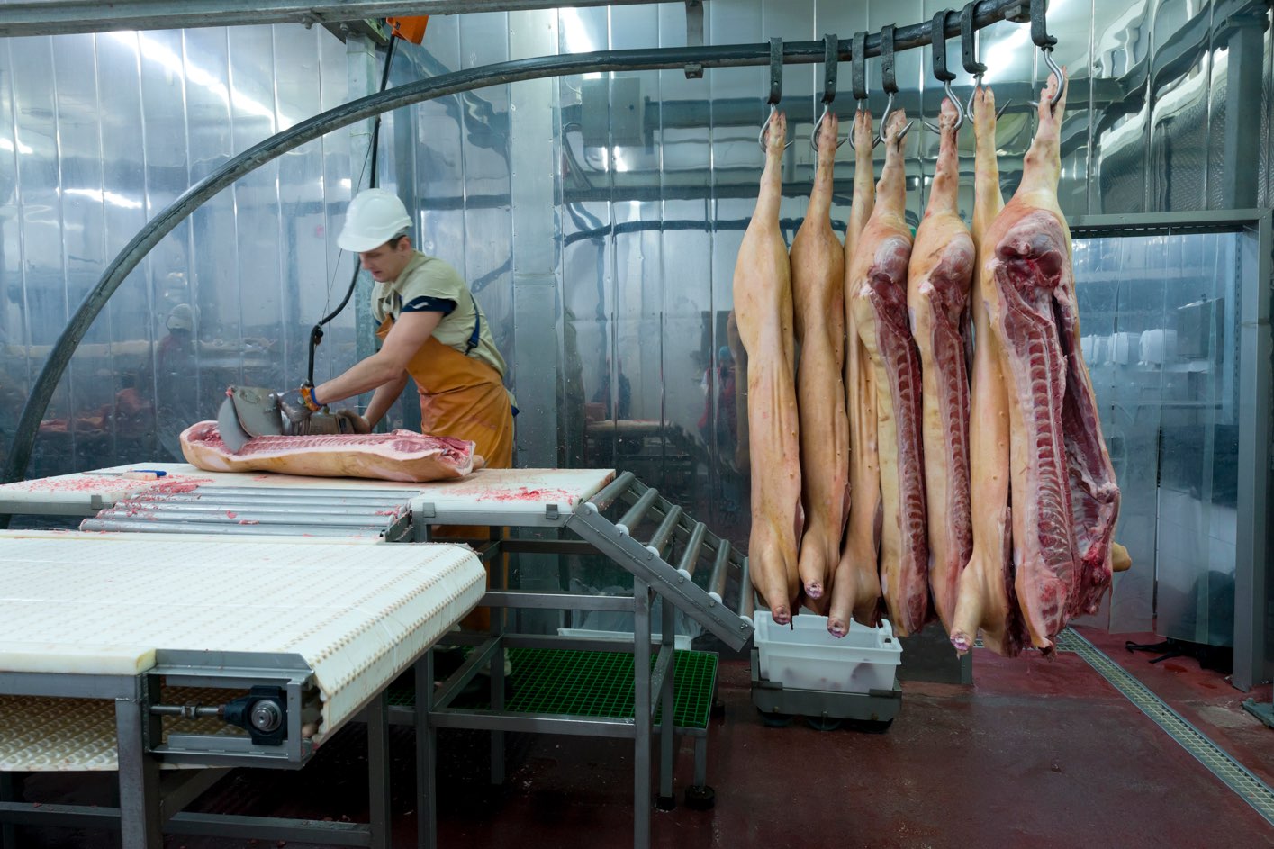 Meat Processing Recruiting Firm CDP Solutions Meat Processing Recruiting Firm CDP Solutions